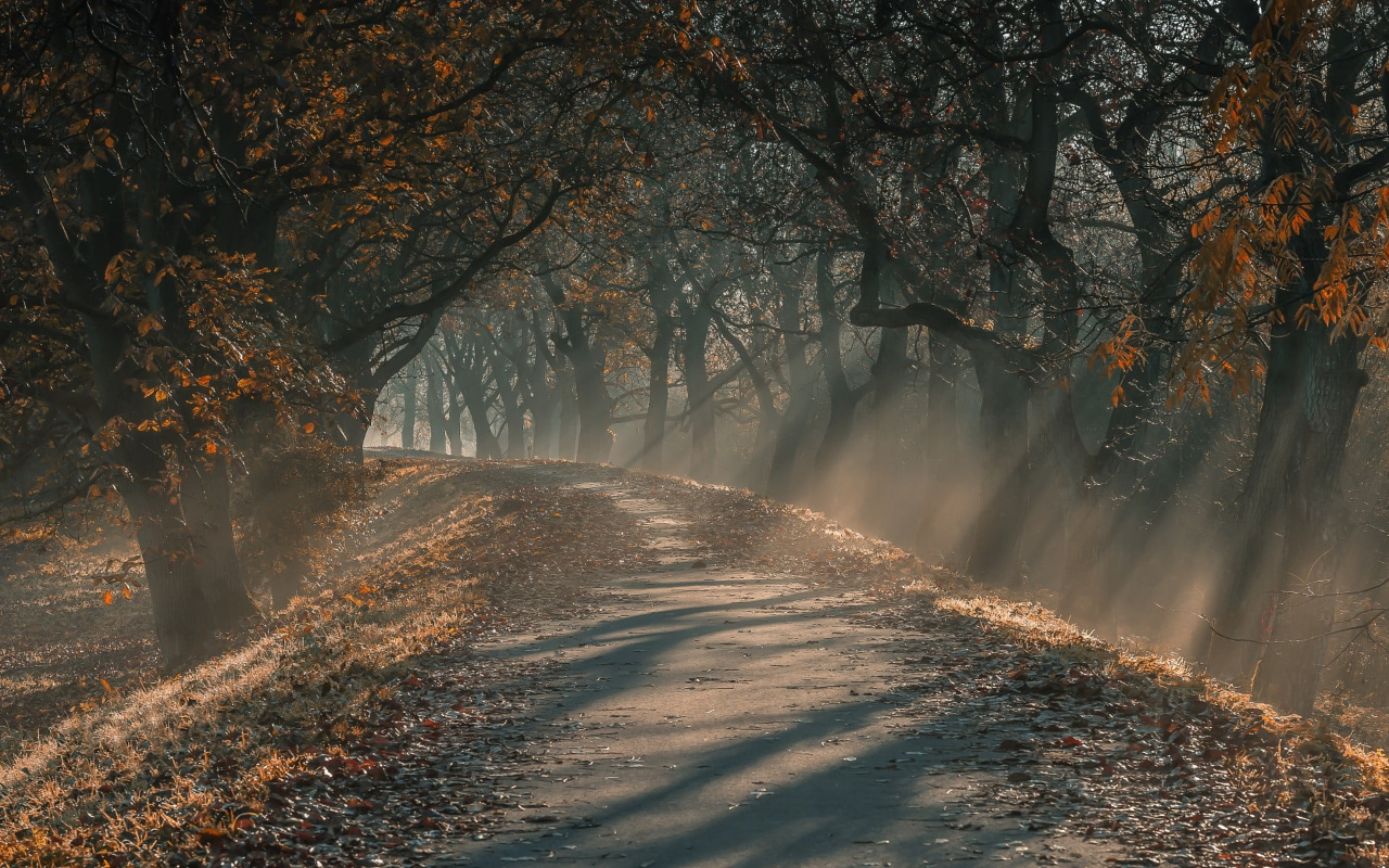 Memperbanyak jalan kebaikan